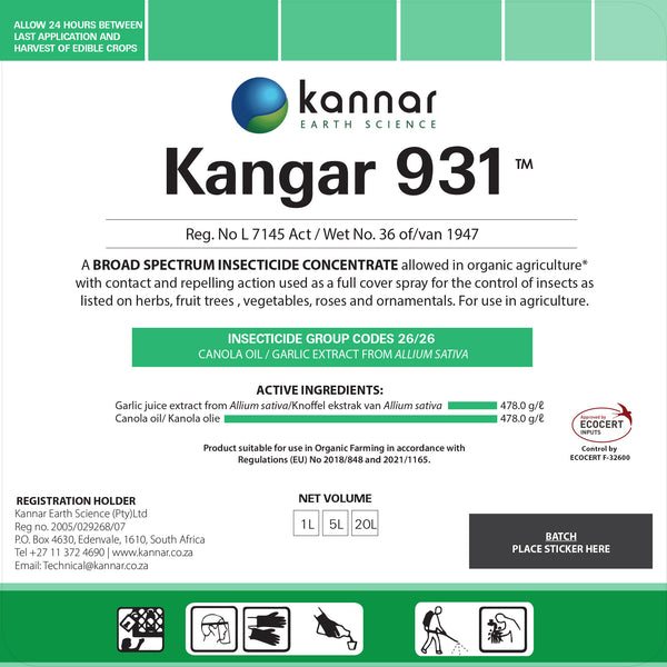 Kannar - Kangar 931 – Belinda Boer