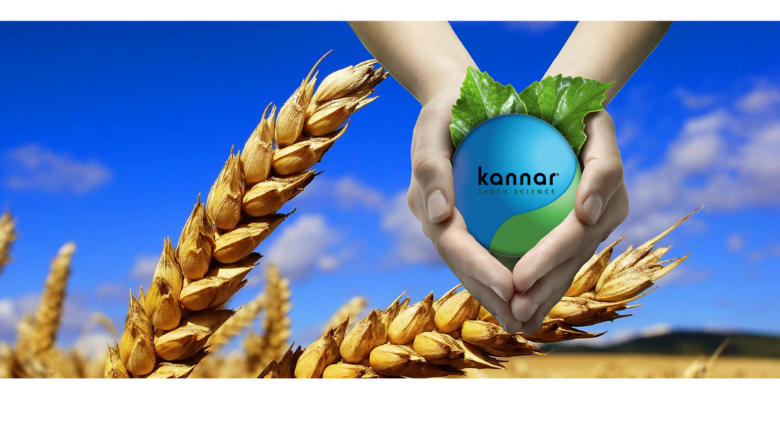Kannar Organic Range - Damfix, pesticides, insecticides, fungicides ...